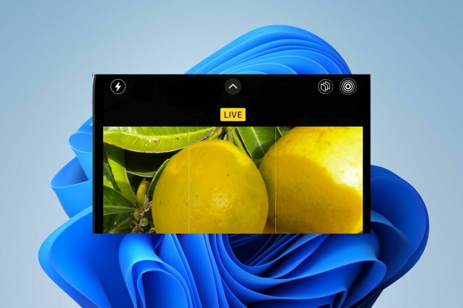 How to Convert a Live Photo to Still on PC - Windows Report