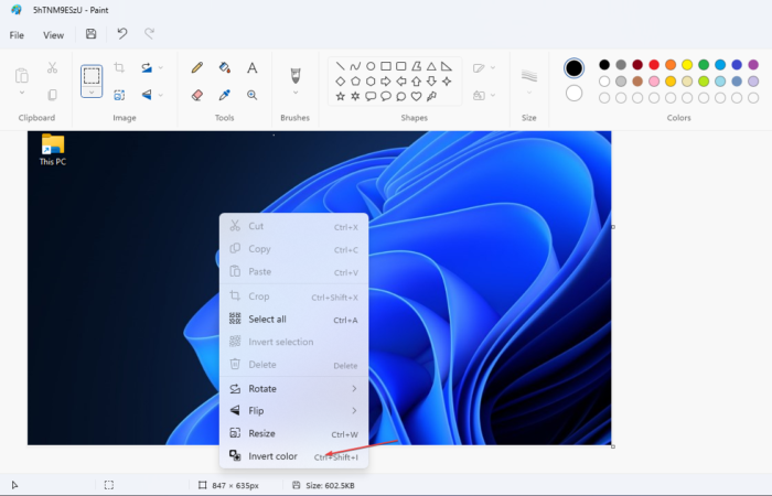 How to Invert Colors on Windows 11 [With Shortcut]