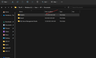 Dolphin Emulator Not Working on Windows: 5 Ways to Fix