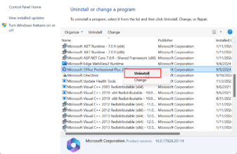 Can't Zoom in Microsoft Word: Quick Fix
