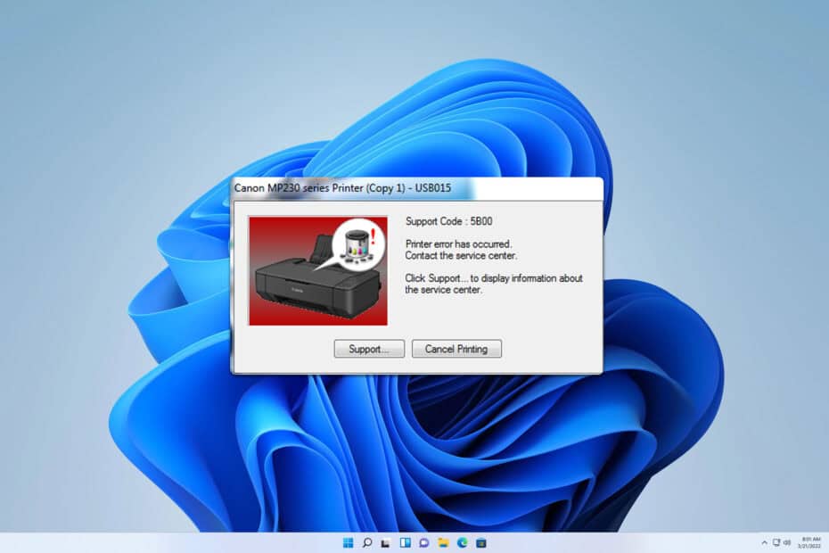 How to Fix Canon Printer Error 5b00 [Step-by-Step]