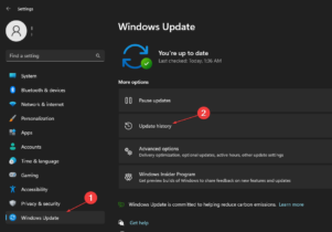 How to Get Rid of Ghost Touch Bubbles in Windows 10 & 11
