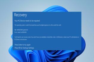 Error Code 0xc0000428: How to Quickly Fix This BSoD