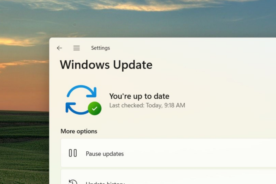 How to Get Windows 11 Updates ASAP