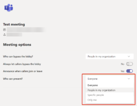 3 Ways to Make Someone a Presenter in Microsoft Teams