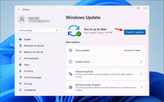 0xfffffffe Error: What Is It and How to Fix It