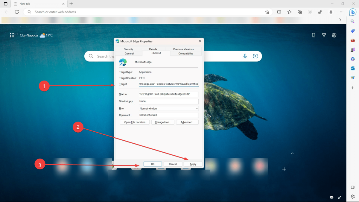 How to activate Windows 11's Mica effect on Edge