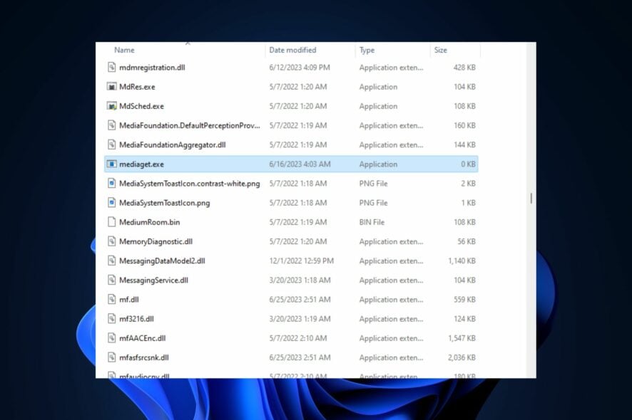 What is Mediaget.exe & What is it Used For?