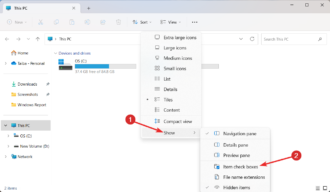 How to Disable Check Boxes in File Explorer