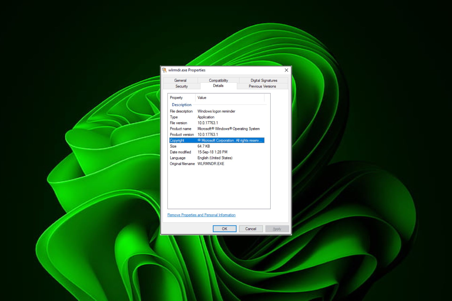What is Wlrmdr.exe & What Does It Do?