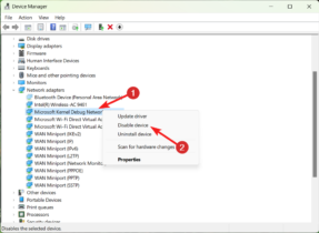 What is Microsoft Kernel Debug Network Adapter?