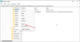 How to Make your Windows 11 Taskbar Always on Top