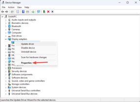 5 Quick Ways to Fix DirectX 12 Not Detected