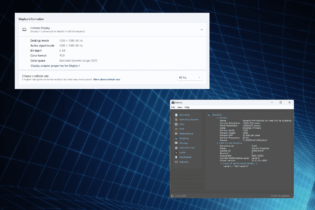 How to Check Monitor Model on Windows 11
