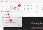 How to Crop an Image on Windows 11 [5 Ways]