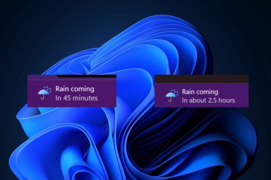 The Windows 11's weather widget now offers a detailed weather forecast