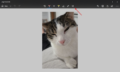 How to Crop an Image on Windows 10 [5 Ways]