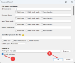 Search Special Characters in Windows Explorer: 2 Easy Ways