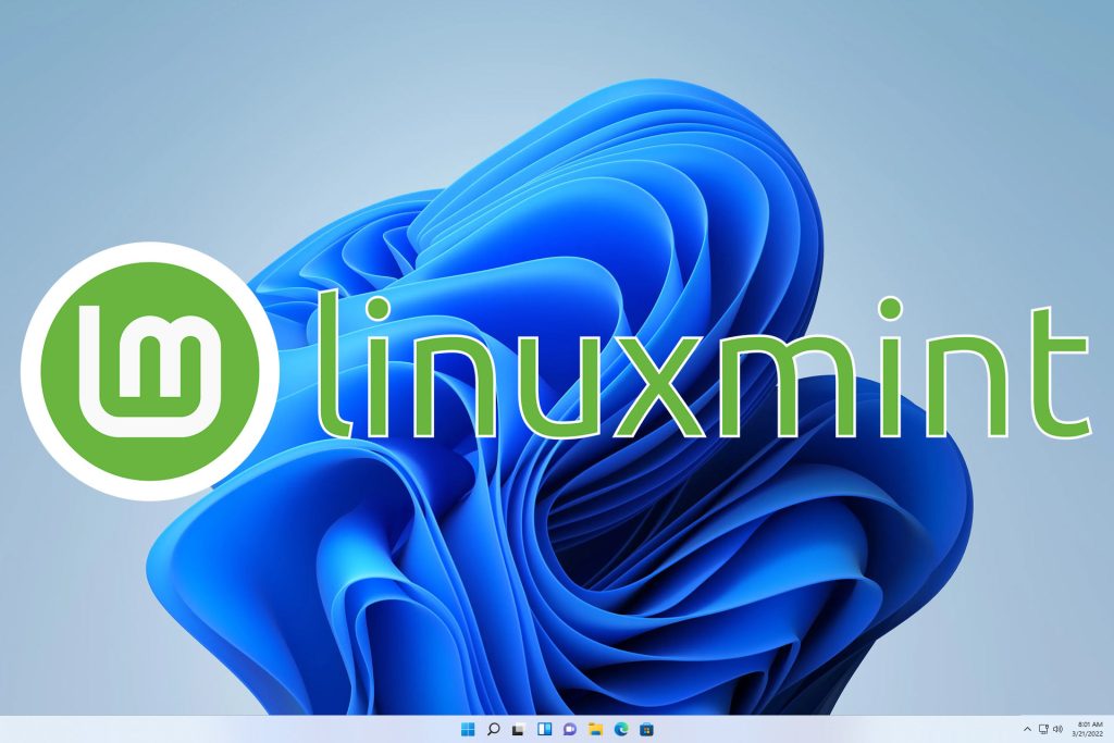 Popular opinion: Mint is the closest Linux Distro to Windows 11
