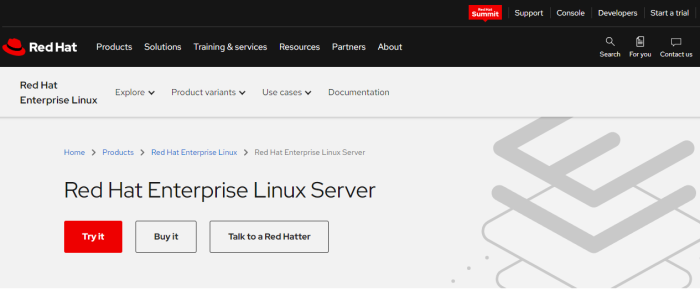 What are Some of the Cheapest Windows Servers?