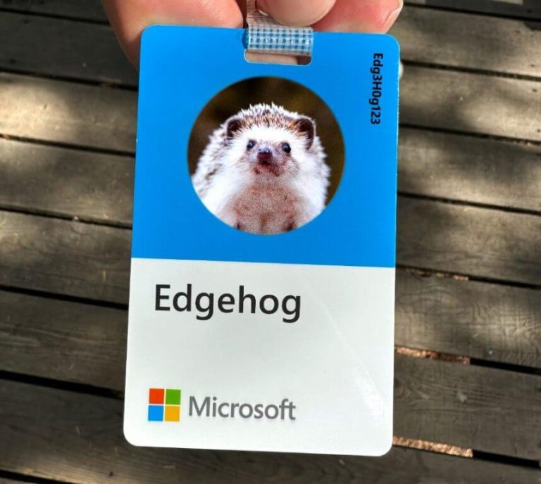Microsoft’s new Edge marketing includes a hedgehog