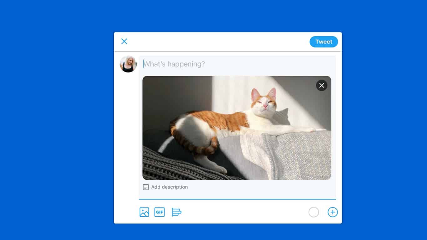 Windows 10 Twitter app gains DM and multi-account improvements with ...