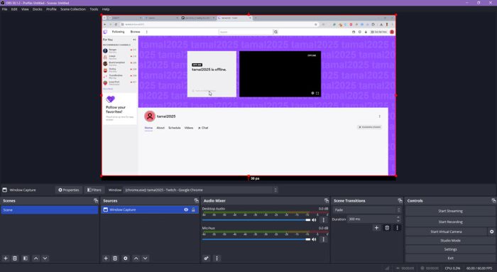 Best Twitch Recording Software With Zoom: 10 Tools for Pros and Novices
