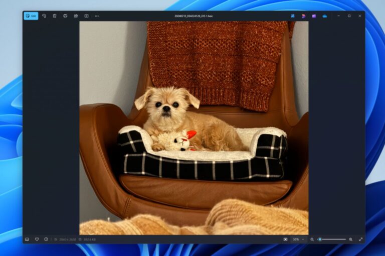 Windows' Photos app is one step closer to becoming Photoshop