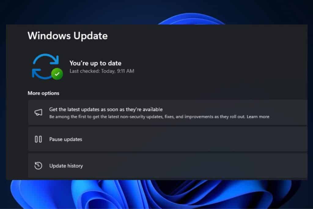 Everything faulty with File Explorer in Windows 11 should be fixed once ...