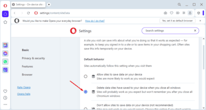 Delete Browser History Automatically - How-To Guide