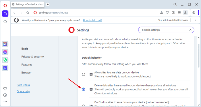 Delete Browser History Automatically - How-To Guide