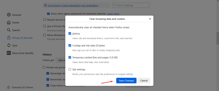 Delete Browser History Automatically - How-To Guide