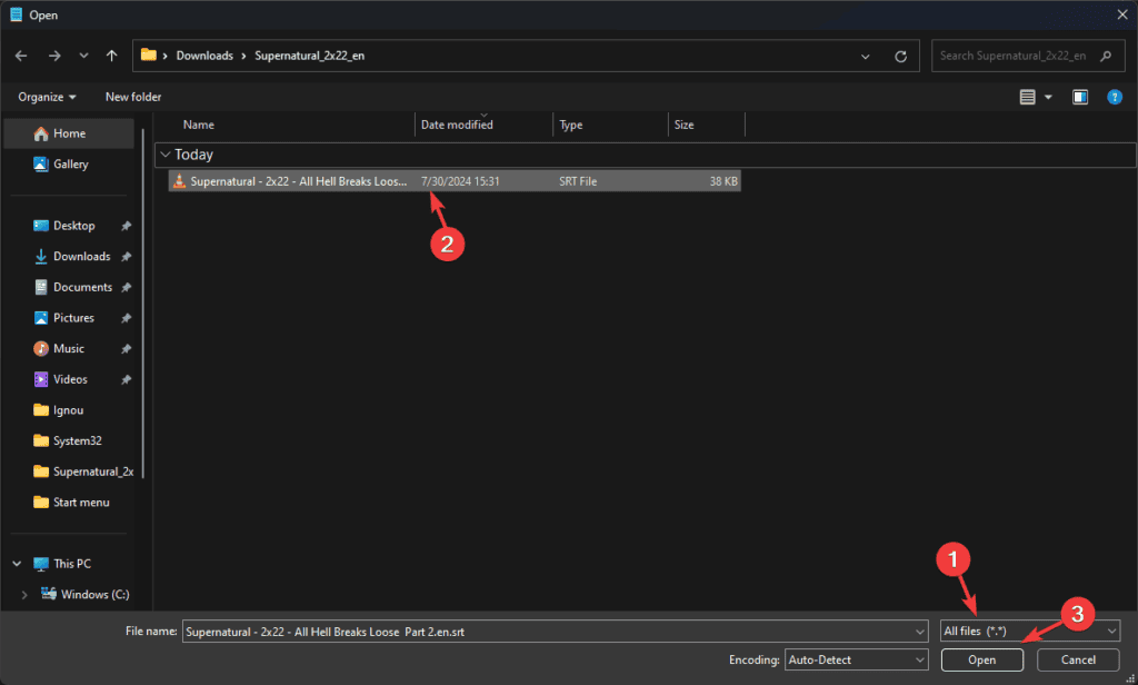 What is an SRT file and How to Open it on Windows?
