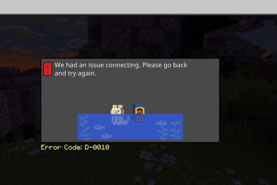 Minecraft Error Code D-0010: 6 Ways to Fix it