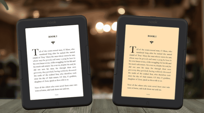 Nook versus Kobo: Which e-Reader Is Right for You?