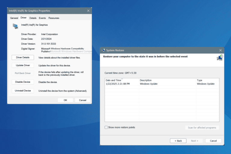 Error 0x800701E3: Fix It Permanently With These 5 Solutions