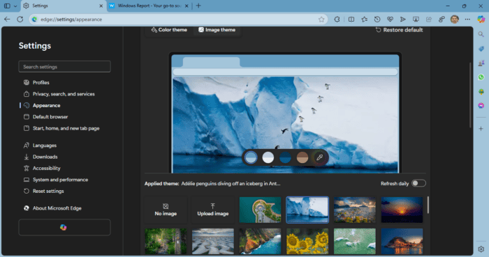 Microsoft Edge Tests Color & Background Themes with Live Preview for ...