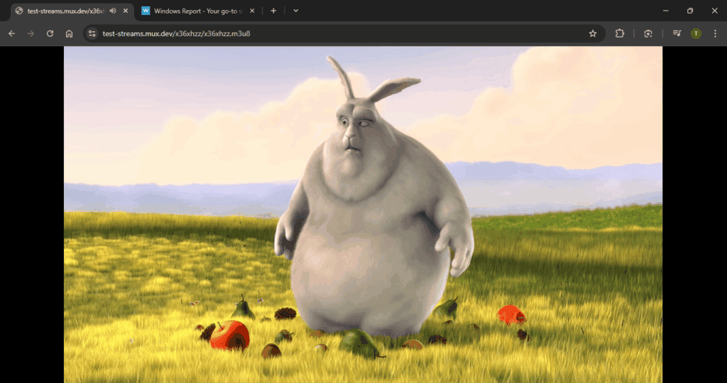 Chrome on Desktop to Finally Support Native HLS Playback