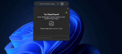 Visual Search in Microsoft Edge Desktop Search Bar on Windows 11