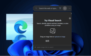 Visual Search in Microsoft Edge Desktop Search Bar on Windows 11