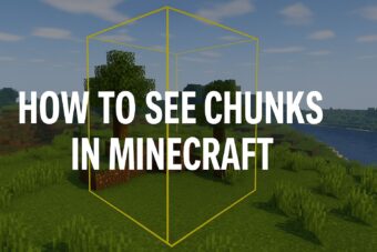 How to See Chunks in Minecraft Java and Bedrock