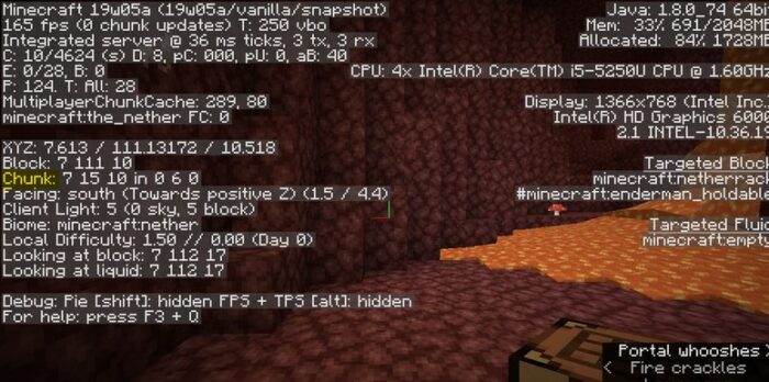 How to See Chunks in Minecraft Java and Bedrock