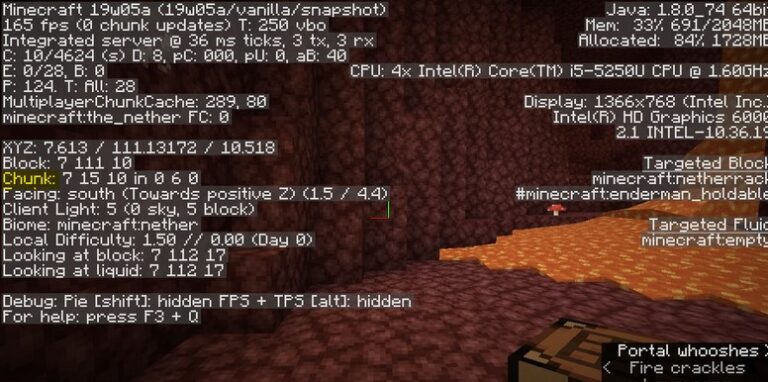 How to See Chunks in Minecraft Java and Bedrock