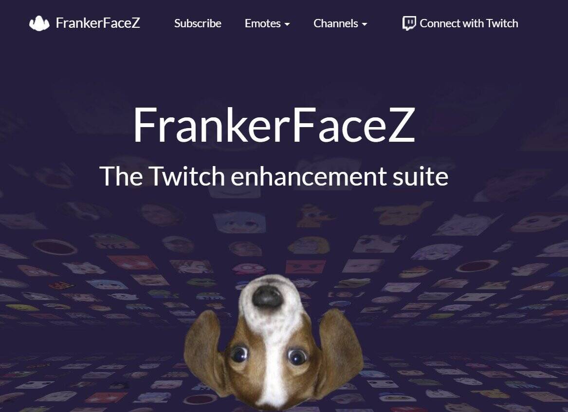 FrankerFaceZ not Working: 8 Fixes to Apply