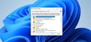 Exploring Key Windows Optional Features and Their Benefits