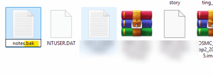 What Is a BAK File and How to Open It on Windows 11