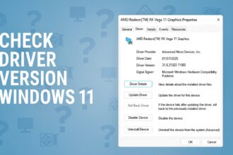 Step by Step Guide to Check Driver Version in Windows 11