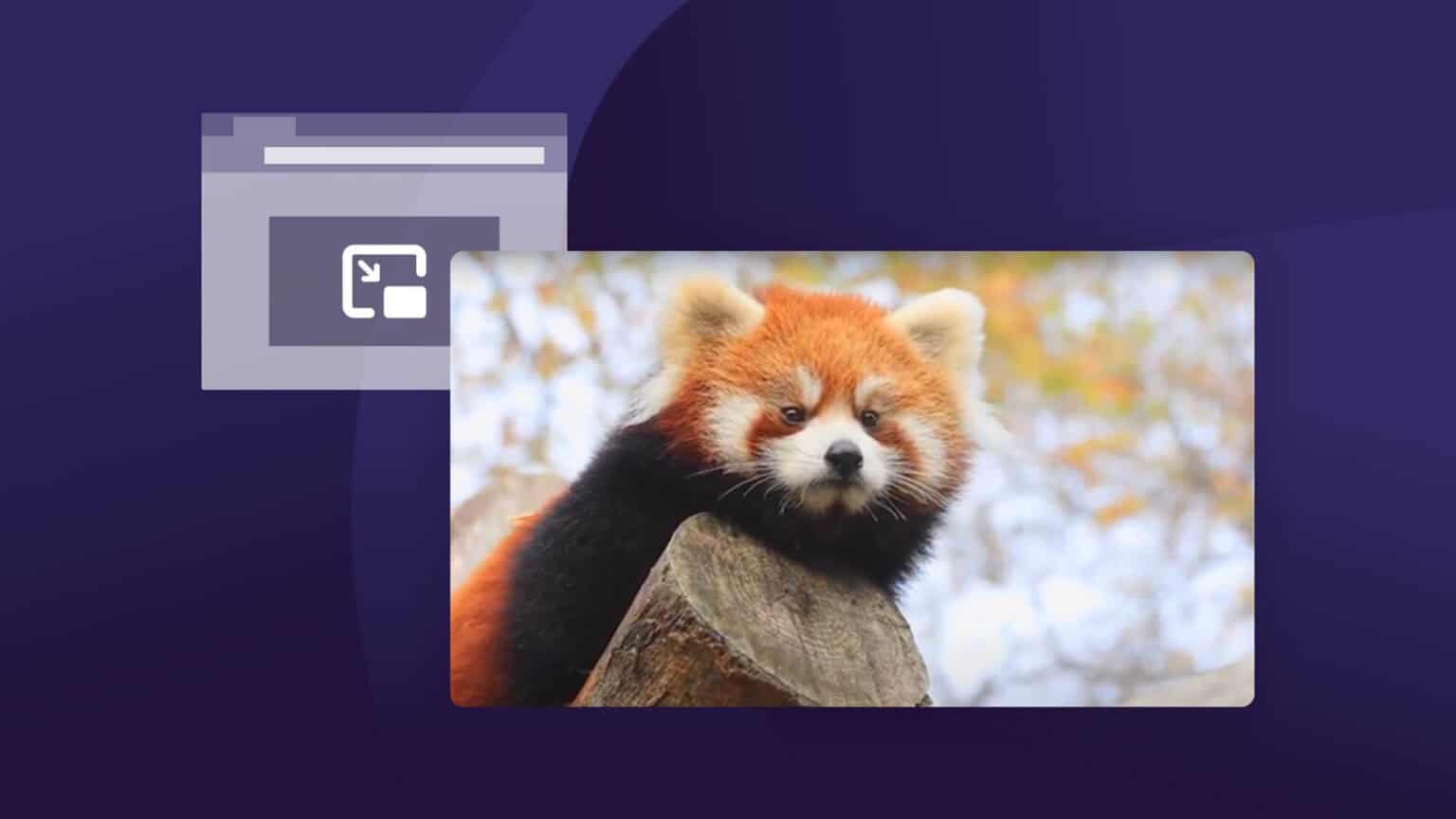 How to Fix Blue Screen Loop on Windows 10: 5 Simple Ways