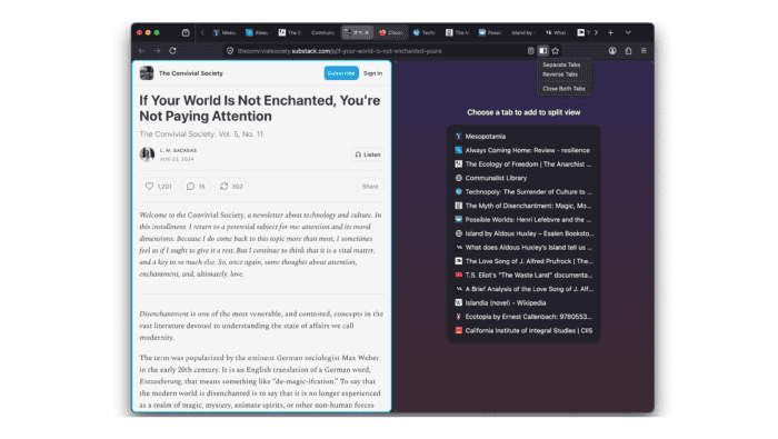 LibreWolf vs Firefox: Which One is Better For Your Privacy?