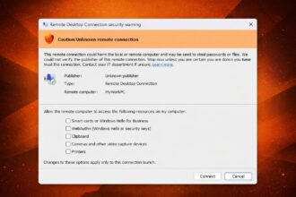 How to fix Remote Desktop error code 0x204